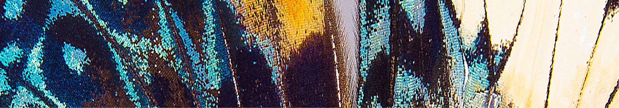 The "METAMORPHOSIS" Collection